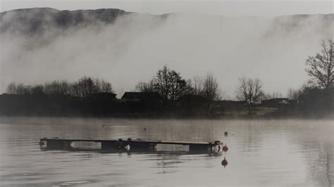 Търсят се „ловци на чудовища“ в ново преследване на митичния звяр от Лох Нес Природа КЕШ