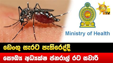 ඩෙංගු සැරට පැතිරෙද්දී සෞඛ්‍ය අධ්‍යක්ෂ ජනරාල් රට සවාරි Hiru News Youtube
