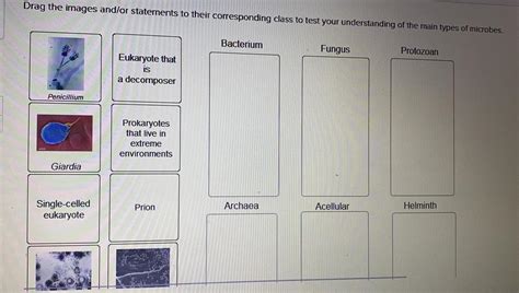 [answered] Drag The Images And Or Statements To Their Corresponding Kunduz