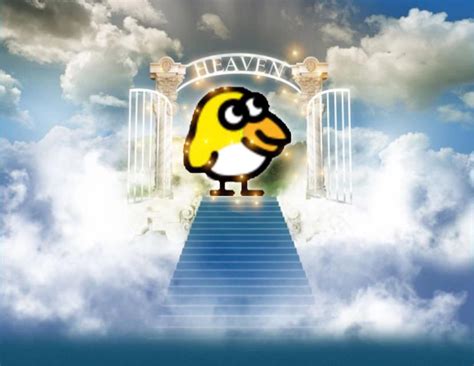 Golden God Pyoro R Connoreatspants