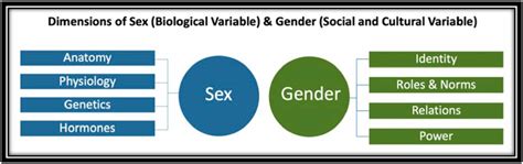 Ensuring Accountability For Consideration Of Sex As A Biological Variable In Research Nursing