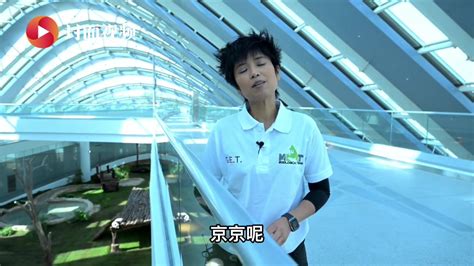 封面视频｜首对旅居卡塔尔大熊猫 目前只能听懂四川话凤凰网视频凤凰网