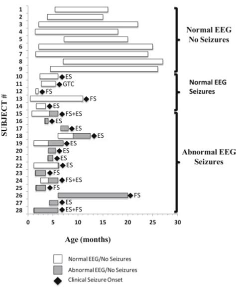 Summary Of Electroencephalography EEG In Relation To Clinical Seizure Download Scientific