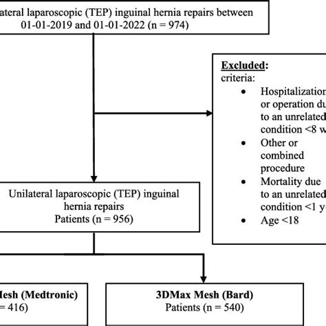 Flow Chart Of Patient Inclusion And Exclusion Download Scientific Diagram
