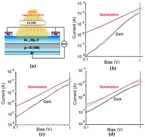 Design Of N Zn1−xmgxop Si Heterostructure Photodiodes A And Download Scientific Diagram