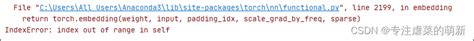 关于隐藏在cuda Error Device Side Assert Triggered之下的embedding层报错indexerror