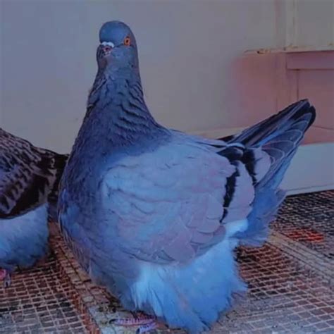 Chérif Gueye Laye Cherifibnaissatou • Threads Say More