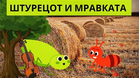 Штурецот и Мравката Бајки за деца 🦗🐜 Youtube