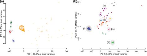Pdf The Labelhash Algorithm For Substructure Matching