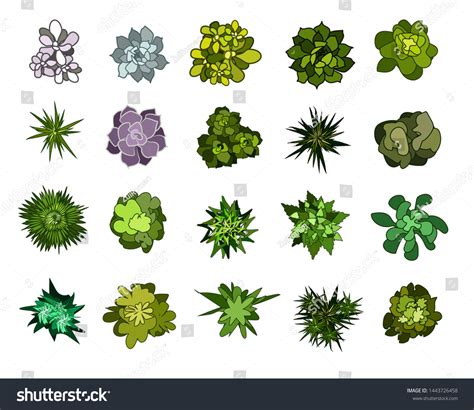 Tree Plan Landscape Design Green Environment Stock Vector Royalty Free