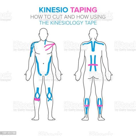 Kinesio 찍고입니다 어떻게 사용 하 고 운동 요법 테이프를 잘라 하는 방법 근육 서포트 테이프에 대한 스톡 벡터 아트 및 기타 이미지 근육 서포트 테이프 다리