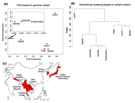 the results of pca and hierarchical clustering based on variant