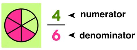 Numeratordenominator Numerator And Denominator Diagram Ubqggk