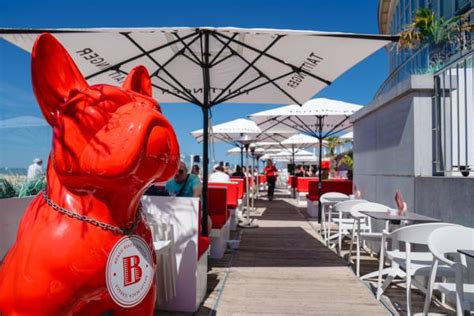 Brassi Beach Terrace Toerisme Oostende