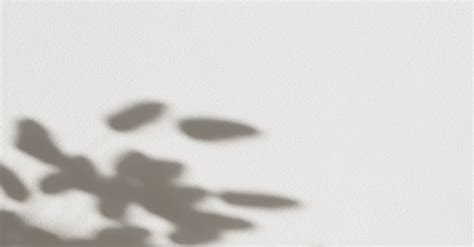 실내 가벼운 거친 고요한 공기 관념적인 그늘 그림자 그림자 놀이 나뭇잎 낮 모션 목업 미니멀리스트 바람 부는 바람 불어 오는 바람 배경 벽