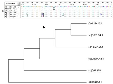 A Msa Was Performed Using Bioedit Software Dots Within The
