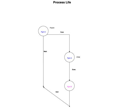 Linux Process Lifecycle At Sofia Phillipps Blog