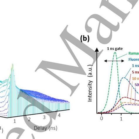 Pdf Time Gated Raman Spectroscopy A Review