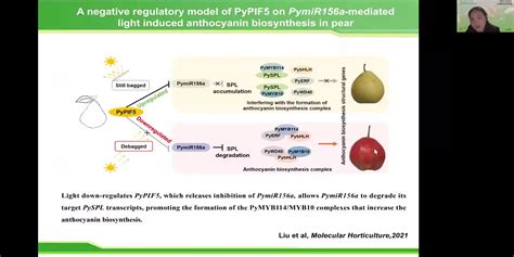 南京农业大学吴俊教授做客分子园艺前沿论坛第三期 学院新闻