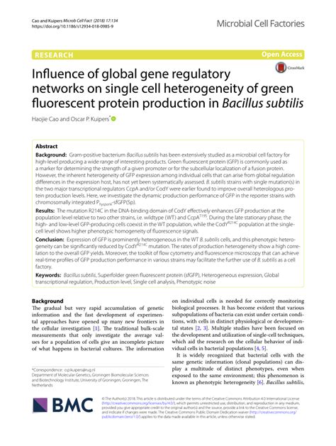 Pdf Influence Of Global Gene Regulatory Networks On Single Cell Heterogeneity Of Green