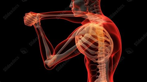 The Human Skeletal System Is Shown In Animation Powerpoint Background For Free Download Slidesdocs