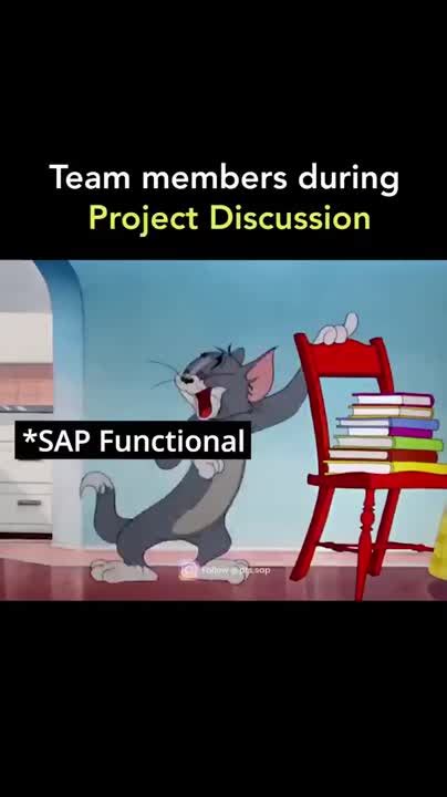[video] Ruhani Garg On Linkedin Tag Sap Consultants 43 Comments