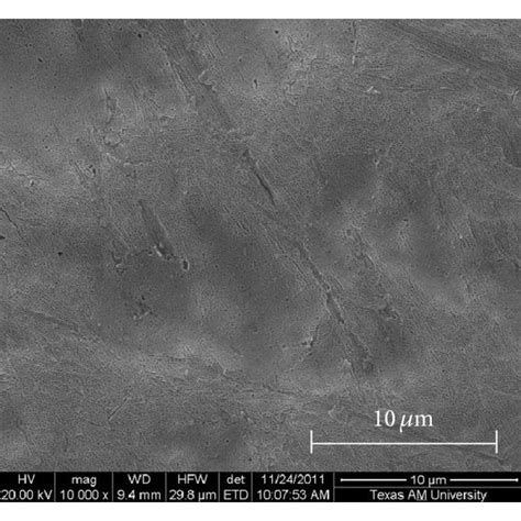 The Schematic Diagram Of Tio2 Ta2o5 Nt Or Tio2 Moo3 Nt Film Structure Download Scientific