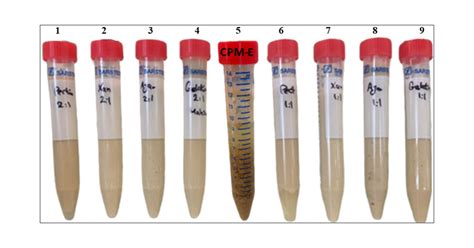 Effects Of Hydrocolloid Agar Gelatin Pectin And Xanthan On Physicochemical And Rheological