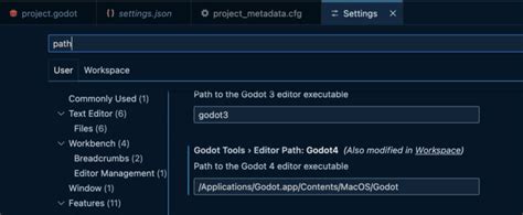 Set Up Your Vs Code Godot Environment