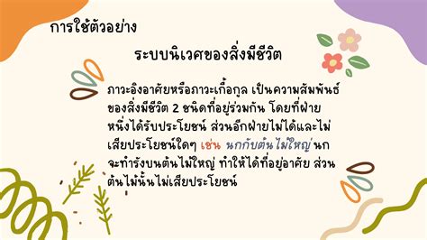 การเขียนบรรยาย อธิบาย พรรณนา เรียนรู้ 3 การเขียนที่สำคัญในยุคปัจจุบัน Nockacademy