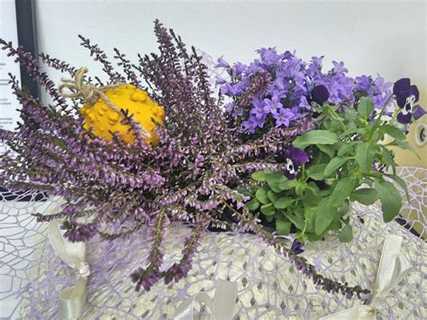 Д р Димова и д р Кръстева Кабинет по дентална медицина