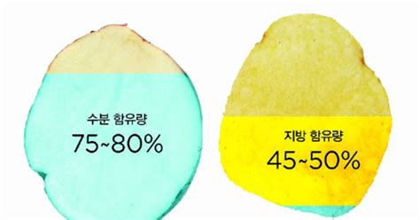 신문과 놀자별별과학백과 감자칩 두께가 16mm인 까닭은