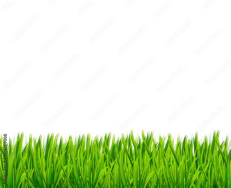 Green Grass Banner Stock Vector Adobe Stock