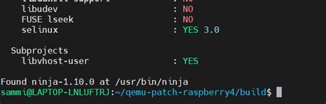 Wsl的qemu支持raspi4 只道寻常 Blog