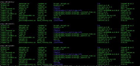 Linux What Are These Tmp MEIxxx Directories Unix Linux Stack