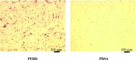 Ligninpolymer Blends Evaluation Of Compatibility By Image Analysis