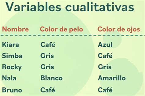 Ejemplos Fascinantes De Fractales En La Naturaleza