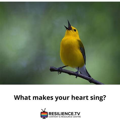 Resilienceatwork Purpose Values Strengths Belonging Resilience