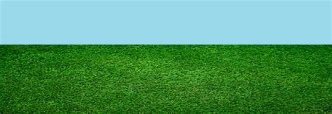 Vyond City Neighborhood Park By Bentherailfan2022 On Deviantart