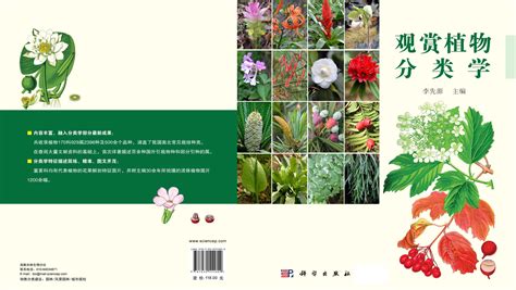 课程 国家高等教育智慧教育平台