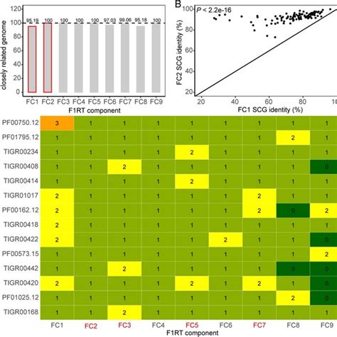 Reconstruction Validation Based On Taxonomic Annotation And Single Copy Download Scientific