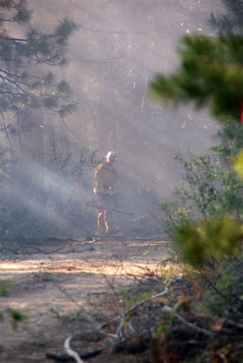 Tree Faller Wildland Firefighter Cottage Grove The Neighbourhood