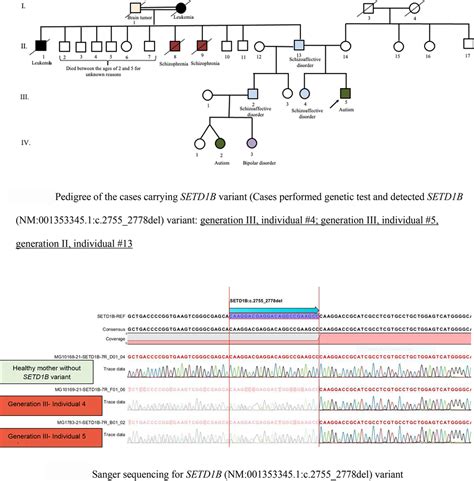 International Journal Of Developmental Neuroscience Wiley Online Library