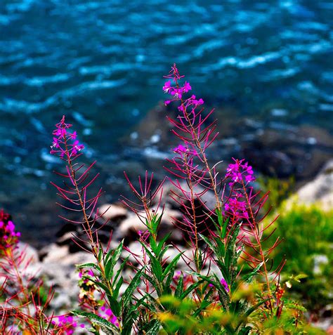 Introduction To Eigendecomposition Using Pythonnumpy Examples And Drawings