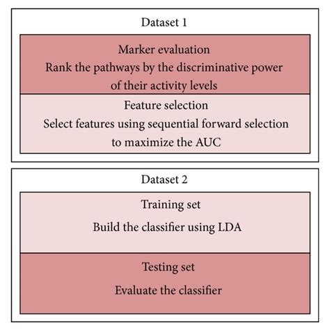 Experimental Setup For Evaluating The Classification Performance A