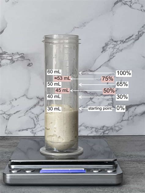 Dough Temperature Percentage Rise And The Aliquot Method Explained
