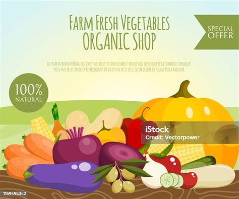 농장 신선한 야채 배너 벡터 그림입니다 식품 시장 채식주의 자 천연 제품 건강한 라이프 스타일 후추 토마토 감자 당근 사탕무가 포함되어 있습니다 유기농 가게 가지 채소에