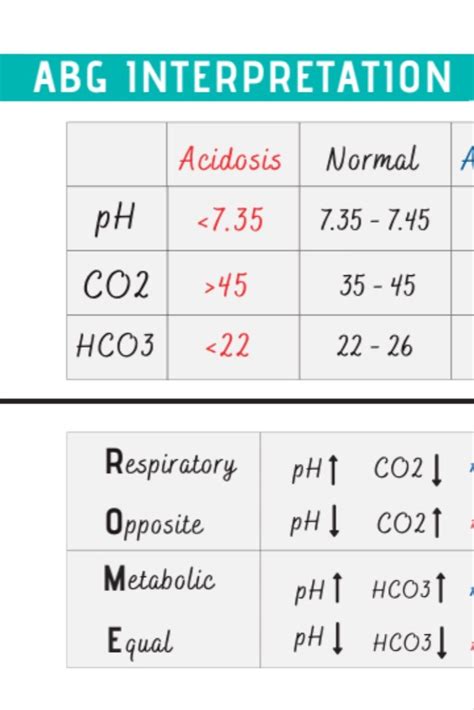 Arterial Blood Gases Abgs Study Guide 4 Pages Nursing Etsy Arterial