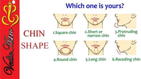 Types Of Chin Shapes