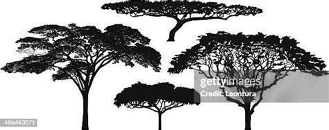 212 Small Cut High Res Illustrations Getty Images